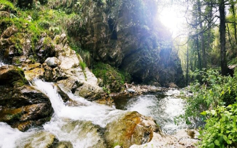 Il parco fluviale del Cardone, un patrimonio del cosentino troppo ...